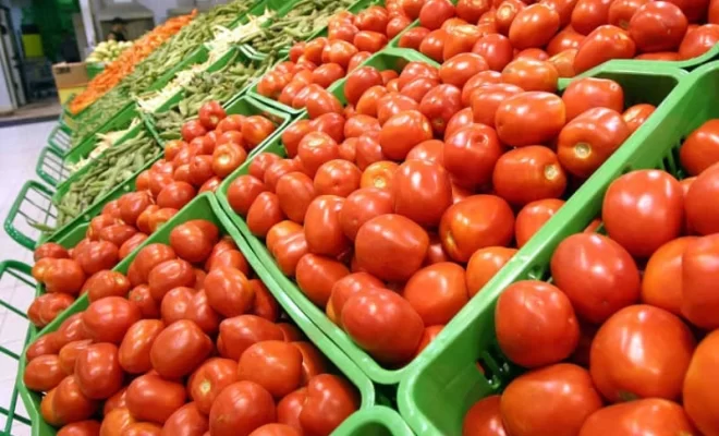 Le Maroc, leader en exportation de tomates, agrumes et d’autres fruits ...